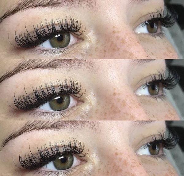 Classic Beginners Course – iLashed by Imogen